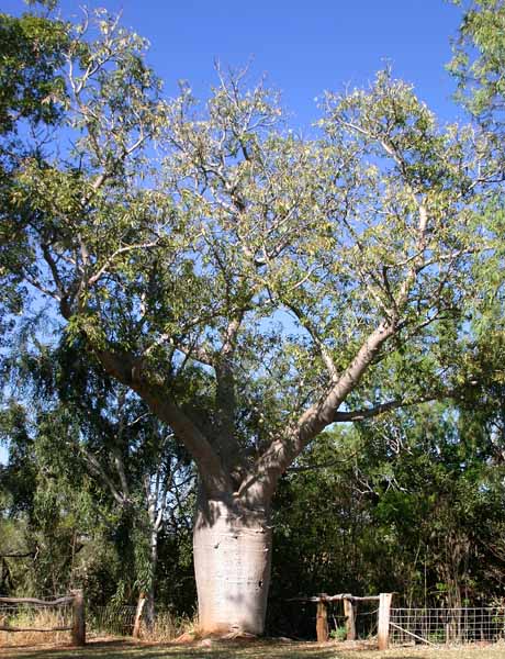 Top End Trip - June 2005